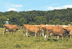 Like begets like - Country Folks