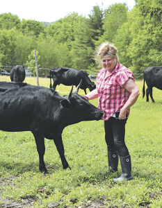 The queen of Kerry cattle - Country Folks