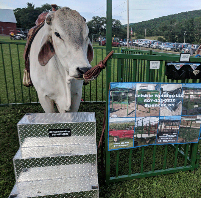 Empire Farm Days welcome back Gus the Braham as well as new exhibitors ...