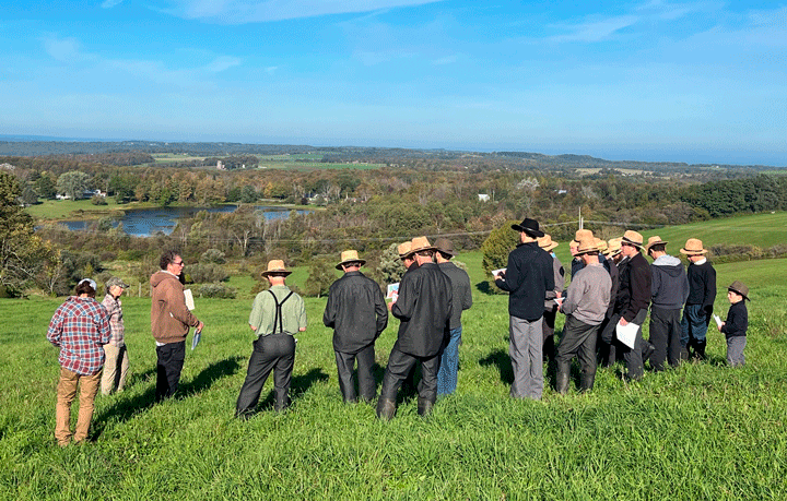 Casual pasture walk celebrates footsteps - Country Folks