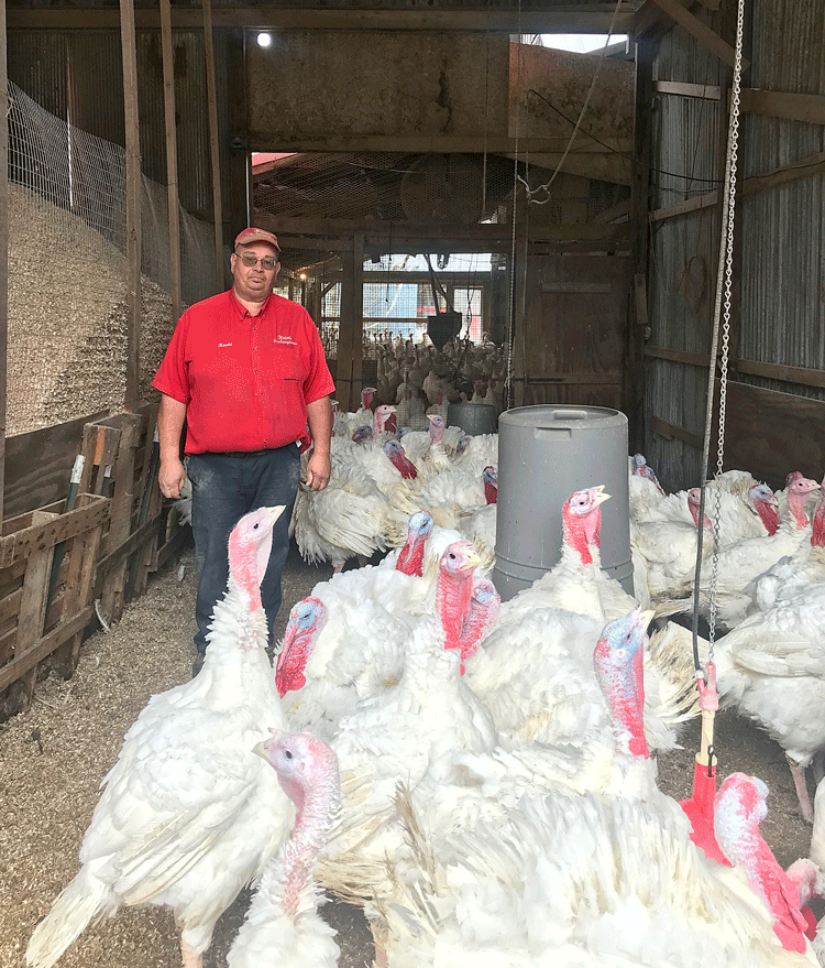 A turkey farm in Eden - Country Folks