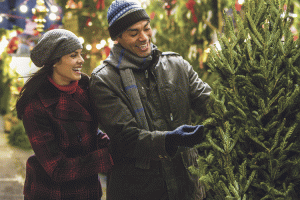 Actionable ways to advocate for real Christmas trees - Country Folks