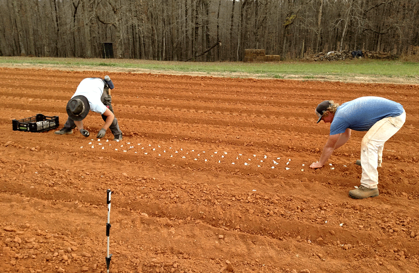 Paving the way for improved organic enforcement - Country Folks