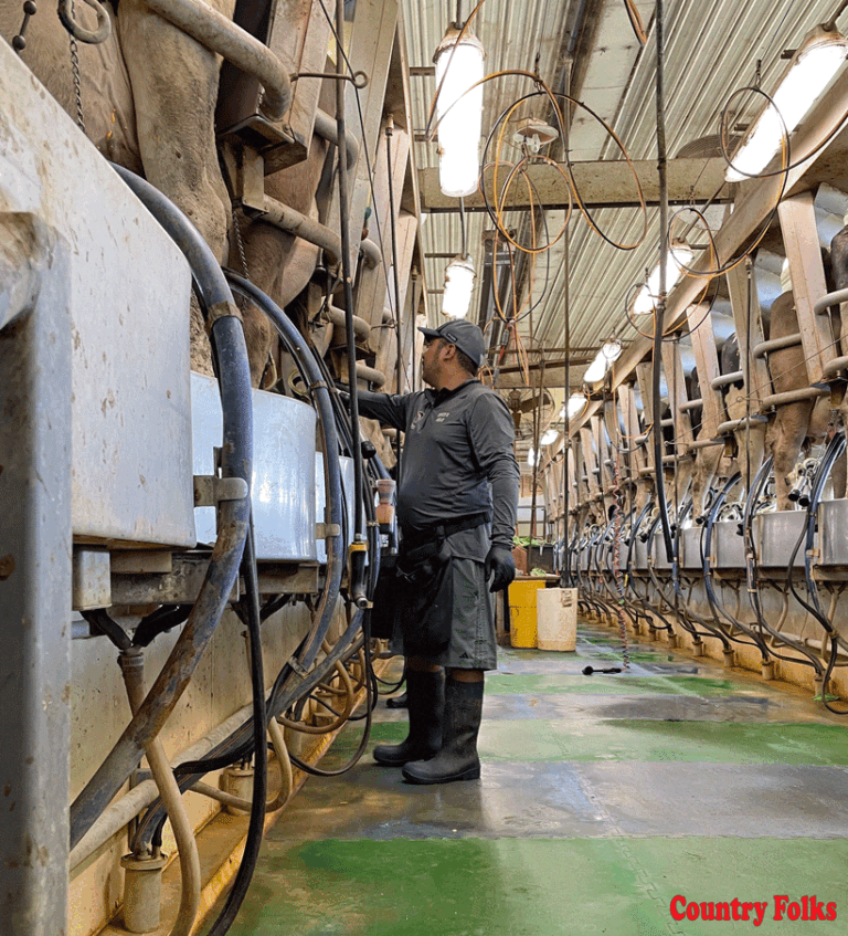 Conservation and Extension – Country Folks