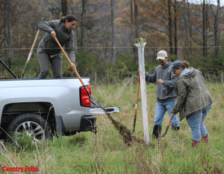 Washington State Fruit Commission - Country Folks