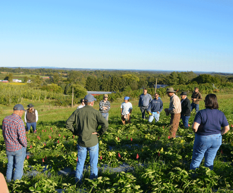 What to look for in a second act - Country Folks