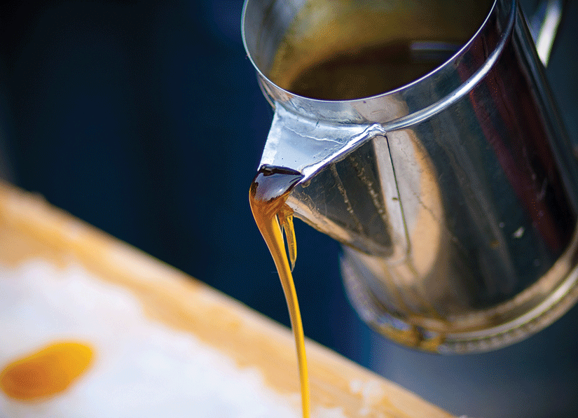 The sweet side of maple syrup - Country Folks