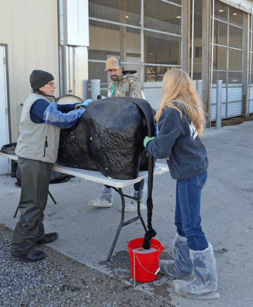 2024 Keystone Farm Show features over 50 new exhibitors, great ...