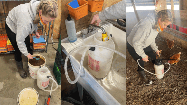 The TurfMutt Foundation unleashes 2026 backyarding trends - Country Folks