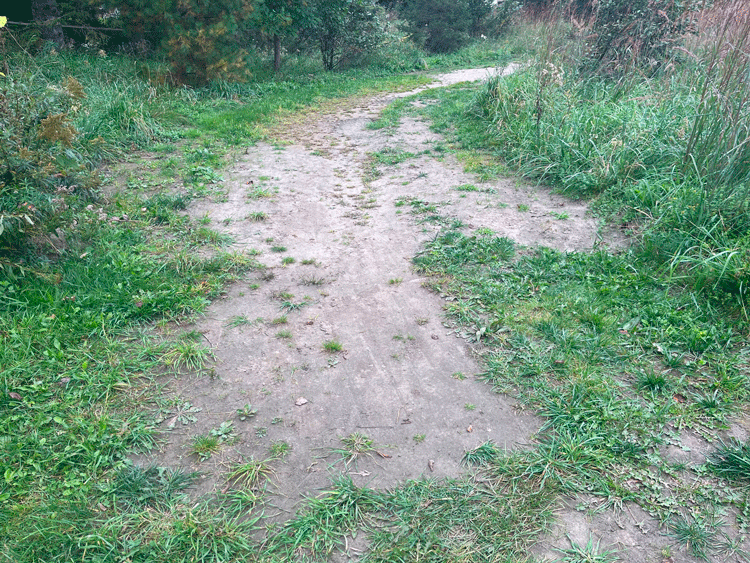 Correcting soil compaction in lawns - Country Folks